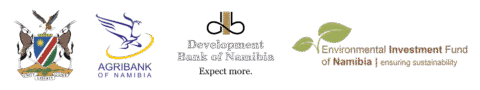 Turn your dream into a reality - National Youth Development Fund