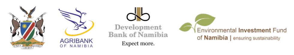 Turn your dream into a reality - National Youth Development Fund